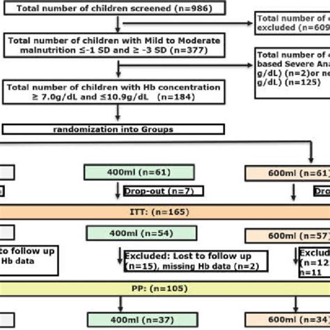 Flow Chart Of Screening And Randomisation Process Download Scientific Diagram