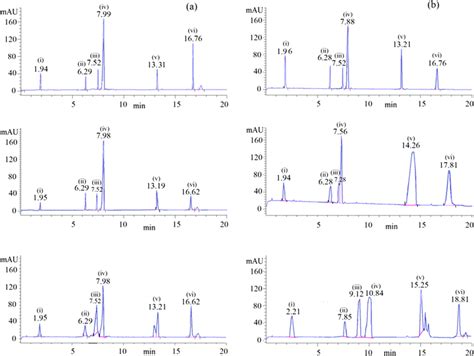 Electropherogram Of Analytes At Different Ph Values Of A Borate Buffer Download Scientific