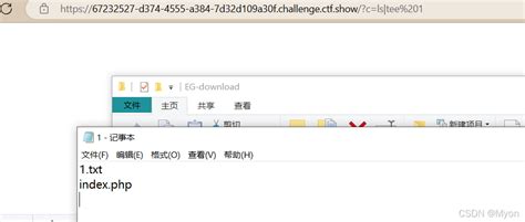 Ctfshow Web入门 Php特性（web132 Web136）ctfshow Web133 Csdn博客