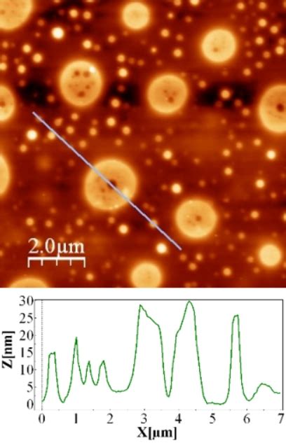 Phase Separation And Self Ordering In Thin Film Polymers Department