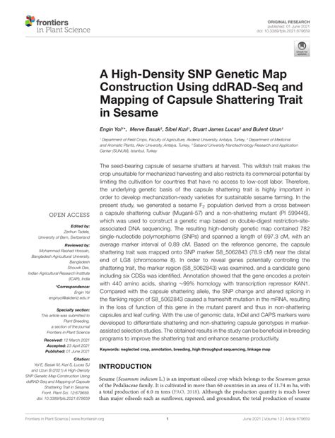 Pdf A High Density Snp Genetic Map Construction Using Ddrad Seq And