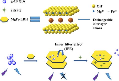 Turn Off On Fluorescence Sensing Of Citrate Using G Cnqds And Mgfe Ldh