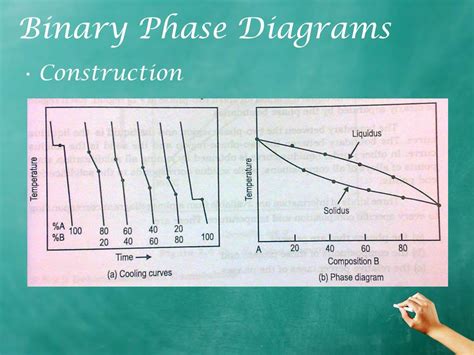 Components Of Phase Diagram Binary System Binary Phase Diagr