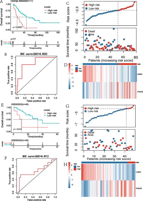 Performance Evaluation Of The Two Gene Prognostic Model In Sclc A Km