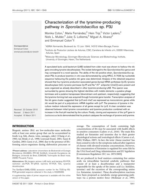 Pdf Characterization Of The Tyramine Producing Pathway In