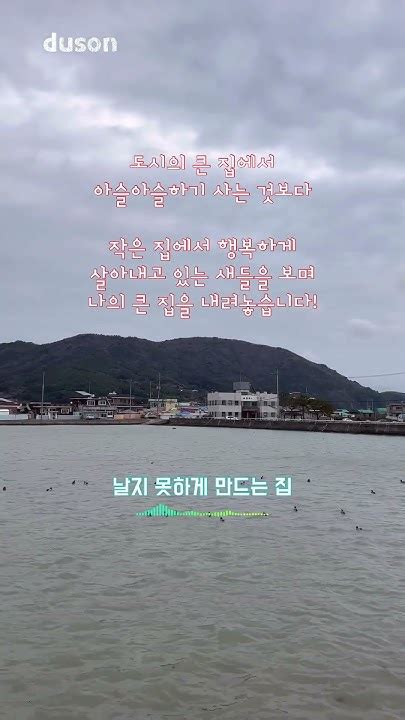 도시의 큰 집에서 아슬아슬하기 사는 것보다 작은 집에서 행복하게 살아내고 있는 새들을 보며 나의 큰 집을 내려놓습니다 거제도 여행 김민수목사 Youtube
