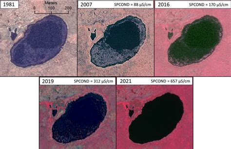 Beds Of Floating‐leaved Vegetation In 1981 Aerial Photograph 2007
