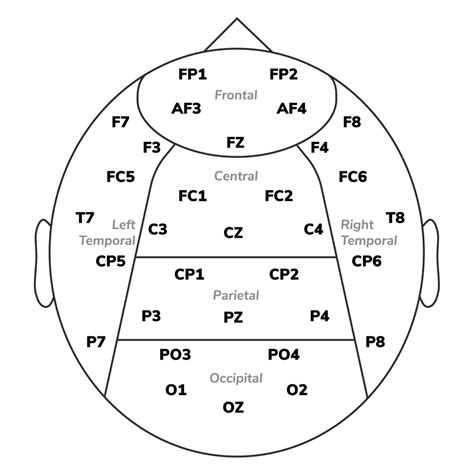Basics Of Neural Oscillations Emotiv