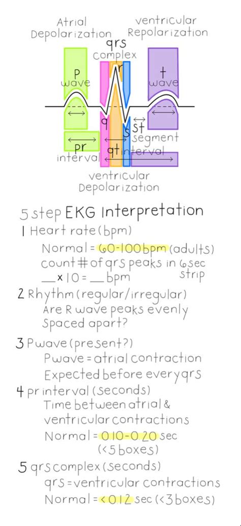 Ekg Interpretation Artofit