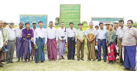 Myanmarnationalpost ဒုတိယဝန်ကြီး ဒေါက်တာတင်ထွဋ် တောင်သူများပူးပေါင်းပါဝင်ရွေးချယ်သော စပါးမ