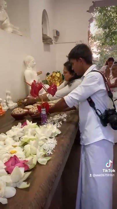 ජය ශ්‍රී මහා බෝධින් වහන්සේට උදැසන කිරි ආහාර පුජාව සාදු සාදු සාදු 🙏🙏🙏 Tiktok Srilanka Travel