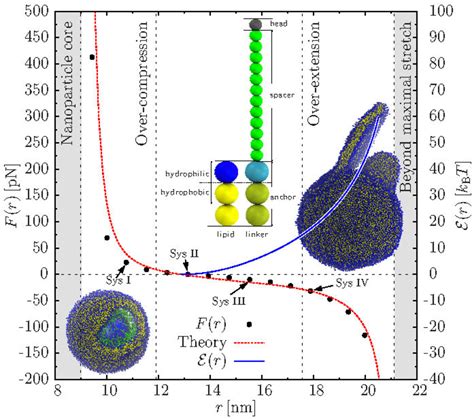 Figure 3 From Design Principles For Nanoparticles Enveloped By A Polymer Tethered Lipid Membrane