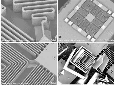 A Sem Image Of Serpentine Spring Structure B Sem Isometric View Of Download Scientific