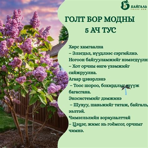 Байгаль Үндэс ХХК Ulaanbaatar