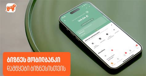 შესაძლებლობები დამწყები ბიზნესისთვის საქართველოს ბანკის ბიზნეს მობილბანკში რ ტაბულა