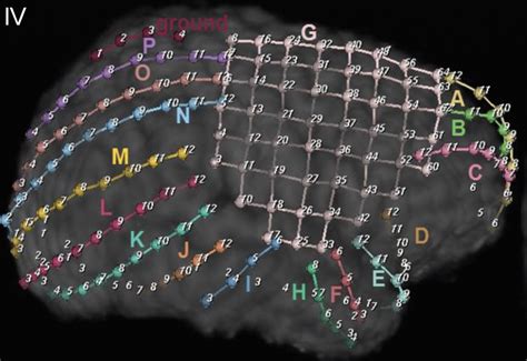 computer architecture for brain computer interfaces sigarch