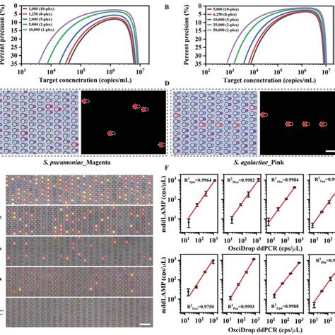 Decoding Of The Droplet Array With A Machine Learning Algorithm A Download Scientific Diagram