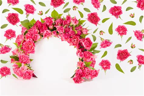 봄 의 신선한 핑크 장미는 프리젠 테이션 화장품 상품 흰색 배경에 모형을위한 패턴으로 비행 녹색 잎과 싹원형 아치의 프레임으로 광고 디자인용 템플릿 가벼운에 대한 스톡 사진