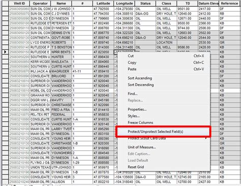 How To Protect Unprotected Selected Well Fields In Wellbase Gverse