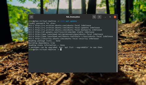 Установка Codeblocks в Ubuntu 2004 Kovalets