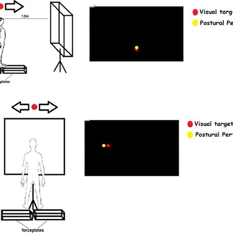 Set Up Experimental Setup And Visual Stimuli Presentation A