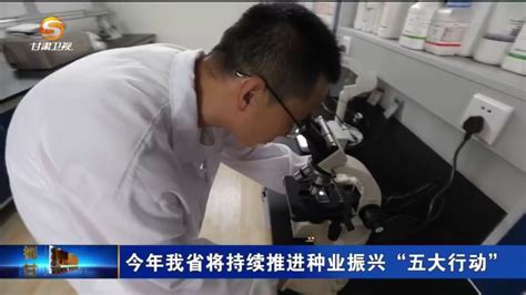 甘肃攻坚农业芯片卡脖子技术 今年实施这些粮策凤凰网甘肃 凤凰网