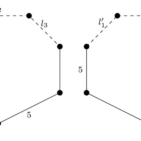 Two Coxeter Pyramid Groups Γ1documentclass 12pt Minimal Download Scientific Diagram