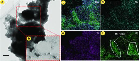 Ex Situ Tem Characterization A High Magnification Image Of Discharge