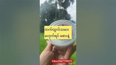 သုတ်လွတ်မြန်နေမှစား အပီးမြန်နေရင်စားအညာမောင် Food Youtube အမ