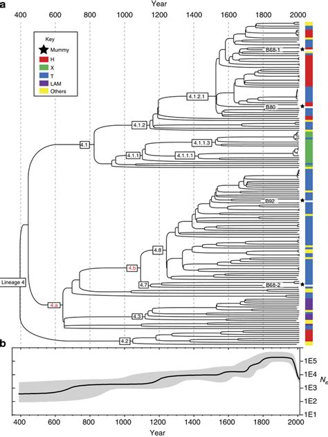 Bayesian Phylogeny And Population Dynamics Of Genotypes From Download Scientific Diagram