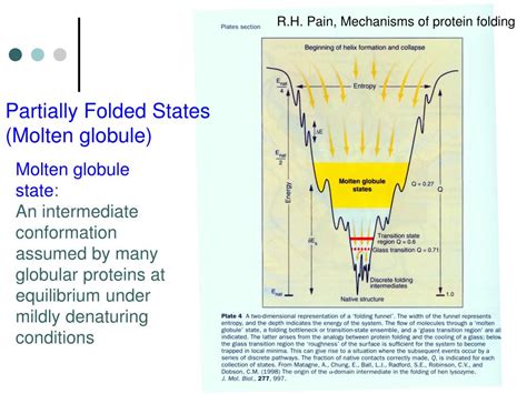 Ppt Folding Kinetics Powerpoint Presentation Free Download Id4193731