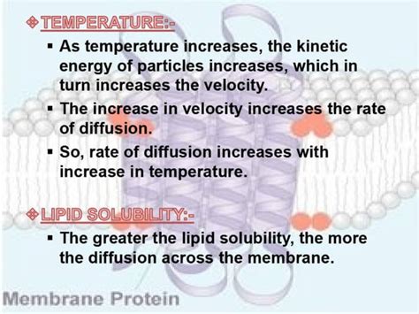 Structure Function Of Cell Membrane PPT Biological Sciences Science