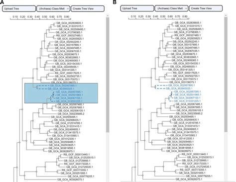 Frontiers Context Aware Phylogenetic Trees For Phylogeny Based Taxonomy Visualization