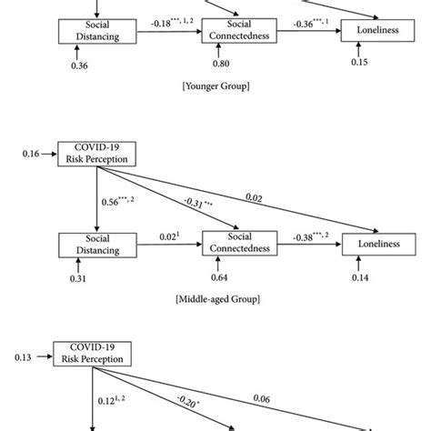 Multigroup Structural Equation Model Results Groups With A Common