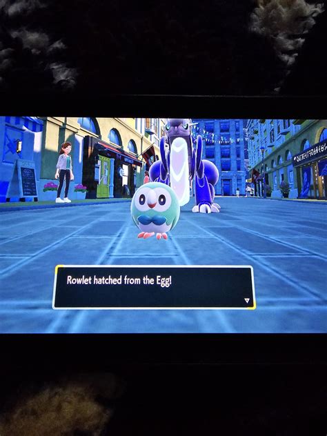 Bro I Was On My 15th Egg Rpokemon