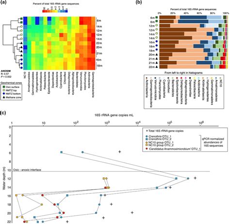 analysis of 16s rrna gene data from microbial communities in the