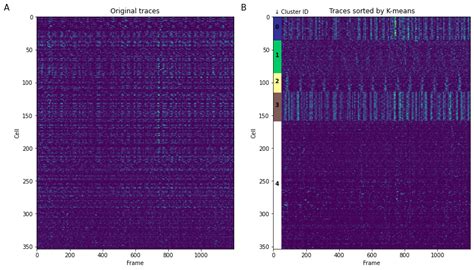 First Steps For Presentation And Analysis Of Calcium Imaging Data