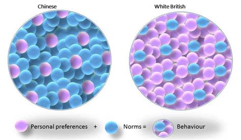 Conceptual Representation Of Interplay Between Personal Preferences And Download Scientific