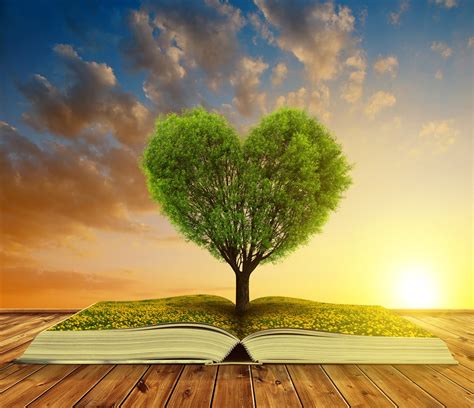 Github Grasslogwebserver High Performance Multi Threaded Tcp Network Server In C11