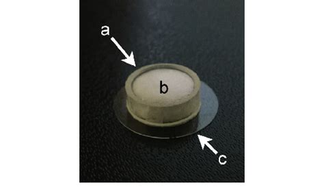 Photograph Of A 200 Ll Sample Displaying The Polypropylene Sample