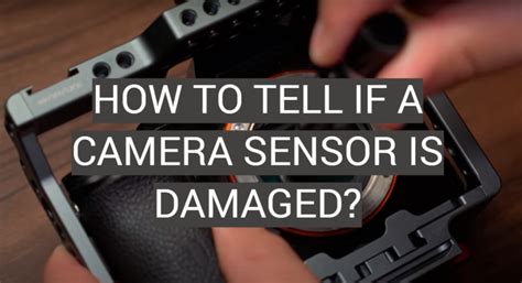 How To Tell If A Camera Sensor Is Damaged FotoProfy