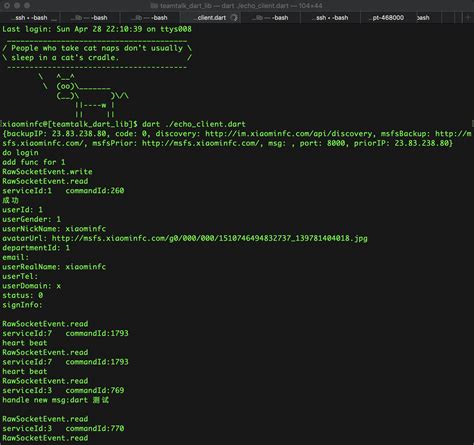 github xiaominfc teamtalk dart lib teamtalk dart版api的实现