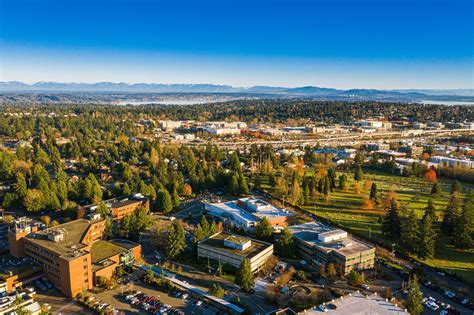Swartz Foundation Postdoctoral Fellowships New Call For Applications