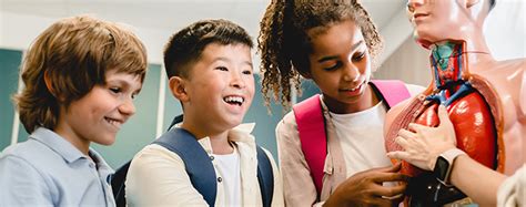 Lacoe Sexual Health Education On Sale
