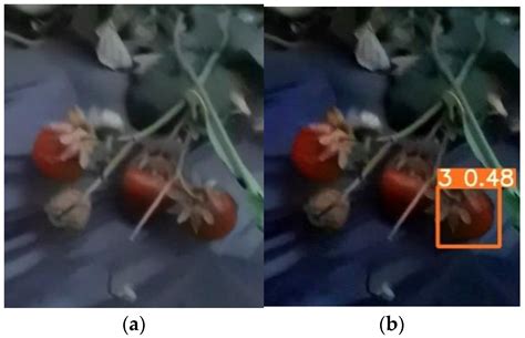 Sensors Free Full Text Strawberry Maturity Recognition Algorithm