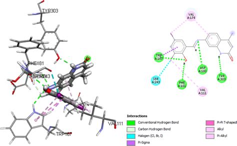 2d And 3d Binding Pose Of The Molecular Interaction Between B3 Schiff