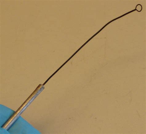 Inoculation Loop Key Stage Wiki Inoculation Loop Key Stage Wiki