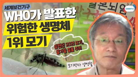 올 여름 사라졌던 모기가 가을모기로 돌아온다 Who가 발표한 지구에서 가장 위험한 생명체 1위 모기로부터 안전을 지켜요ㅣ8월 4주 주간 학교안전통신문 Youtube