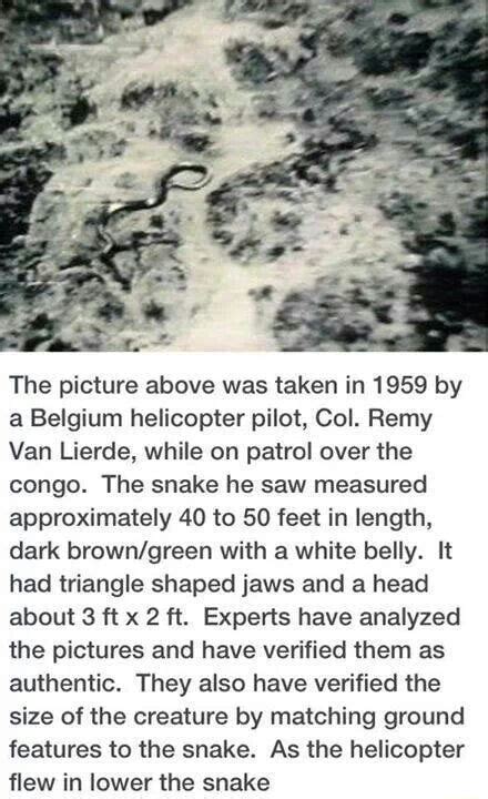 The Picture Above Was Taken In 1959 By A Belgium Helicopter Pilot Col