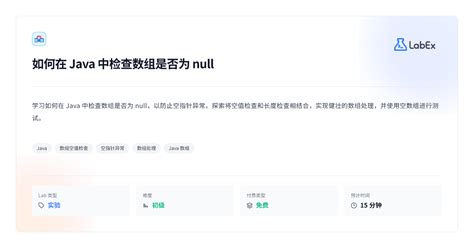 如何在 Java 中检查数组是否为 Null Labex